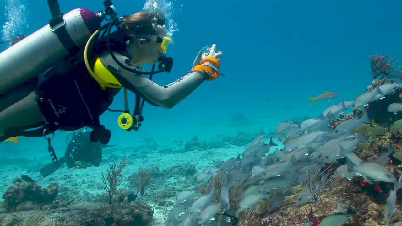 Rutgers Scientific Diving Program Trains Undergrads