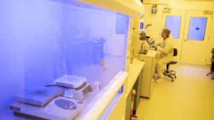 Research | Rutgers-New Brunswick